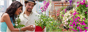 Understanding Plant Labels - Bayer Advanced